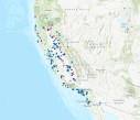 CA-MTSS-Interactive-Map - All Assets
