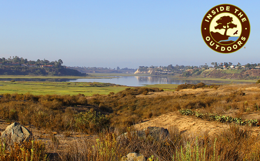 OCDE - Wild Wetlands - 2nd Grade